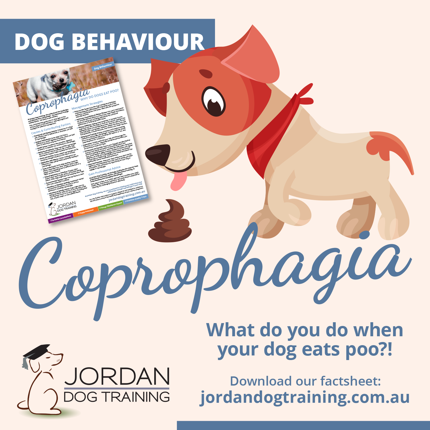 Why Dogs Eat Poo: Unveiling the Surprising Reasons and Solutions ...