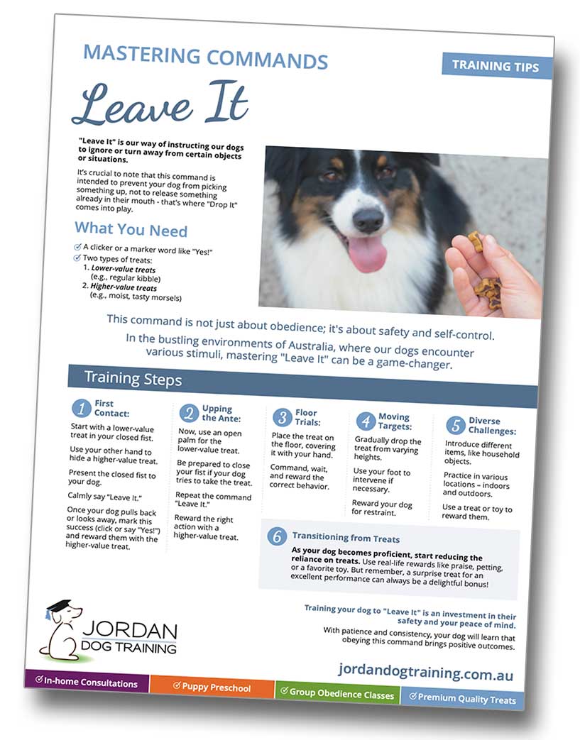 Mastering the "Leave It" Command - Jordan Dog Training